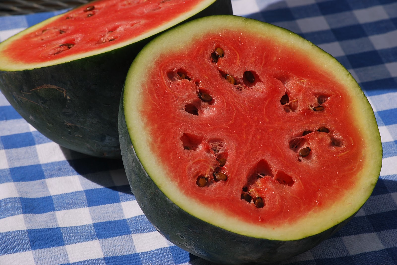 My story in recipes: Watermelon Farming