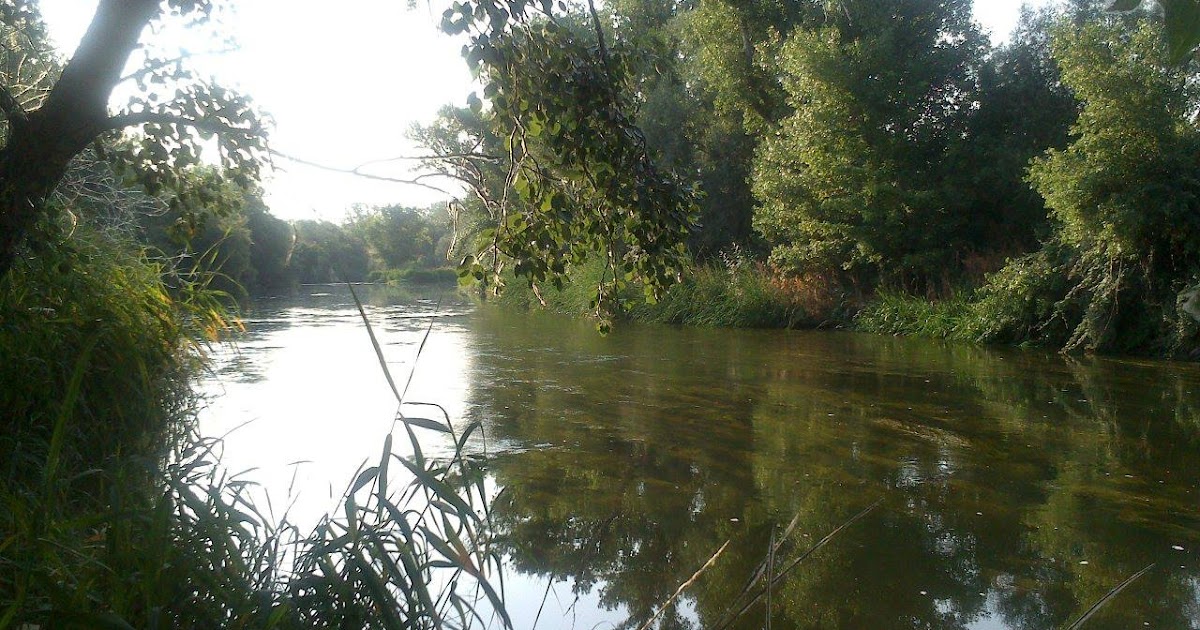 paracuellosdigitalplus: Unión de municipios para exigir la recuperación ...