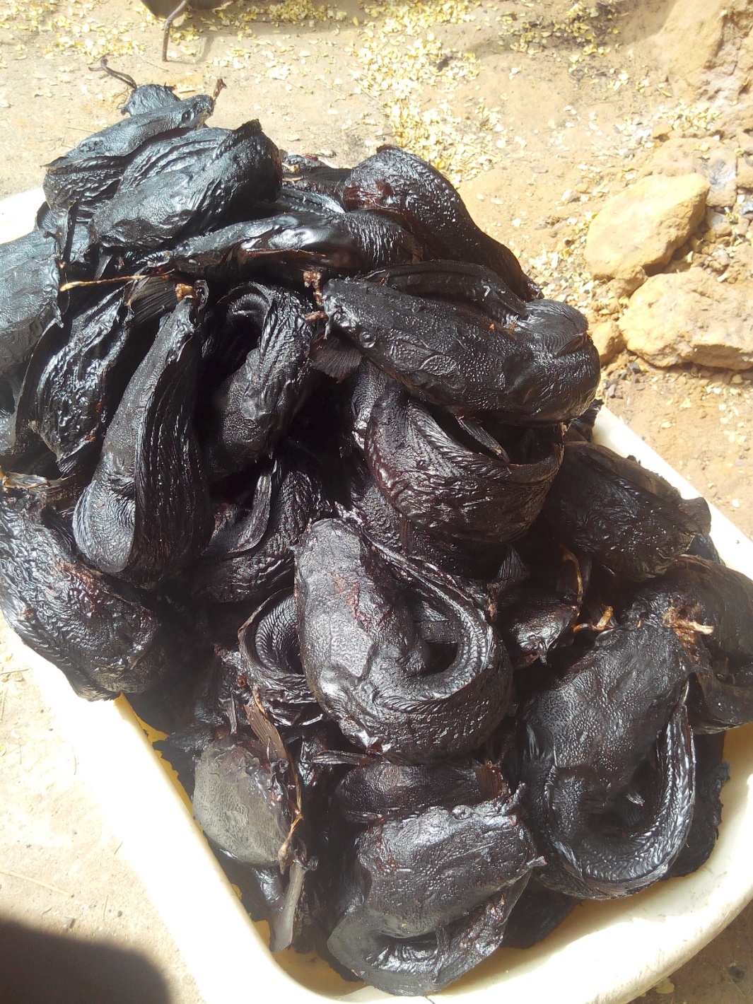 Smoked Catfish for Export Quality Created by the Best Supplier - Dry ...