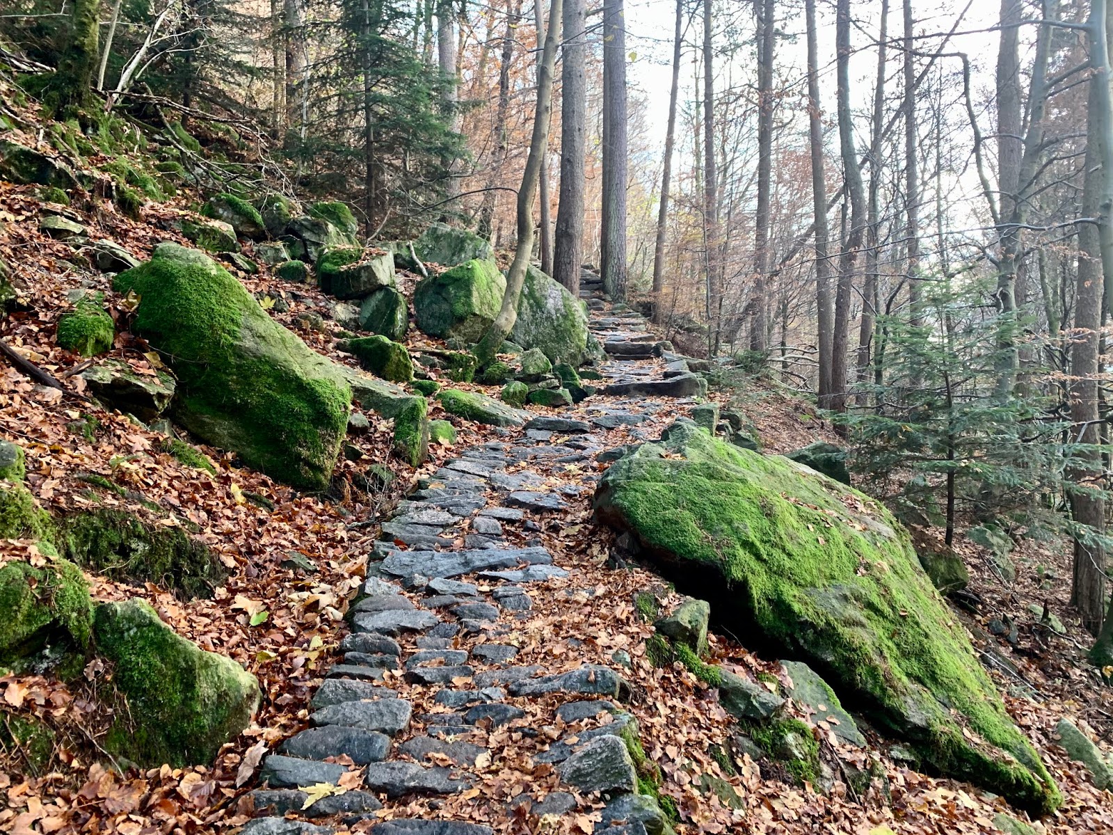 Goturen: Stoltzekleiven