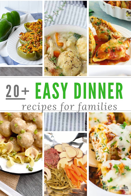 20+ easy dinner recipes for family