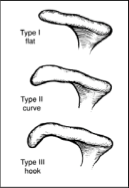 MRI Musculo-Skeletal Section: Acromial shapes