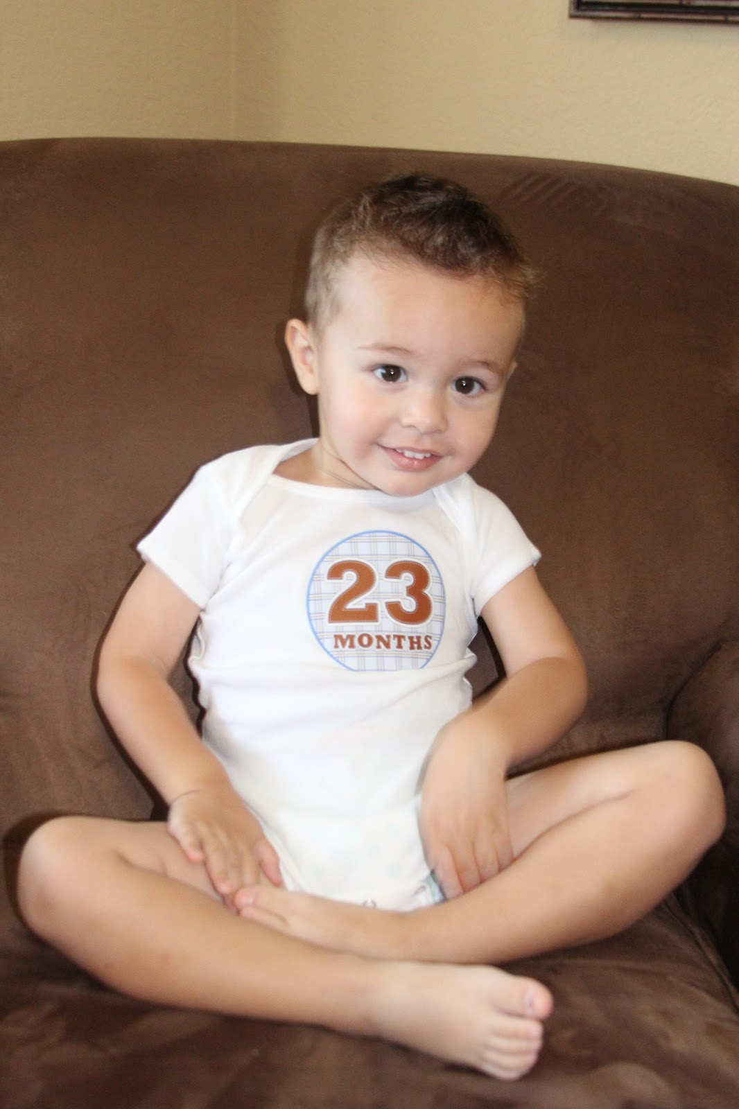 23 Months - THE PATRICIOS