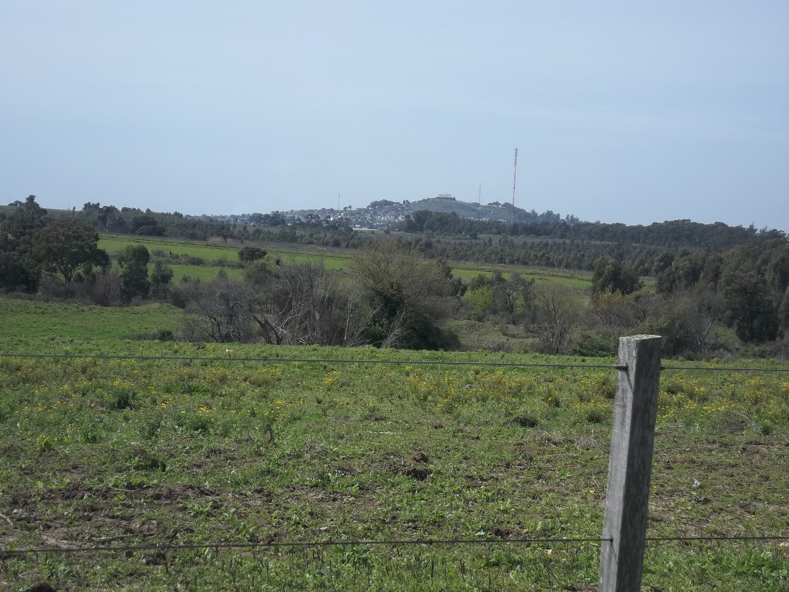 EL CEIBO DEL OESTE II: MONTEVIDEO RURAL - ESCUELA Nº 369 - Primer ...