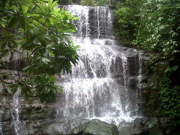 Berbagai Macam Tempat Wisata di Taman Hutan Raya Saree ~ Natural