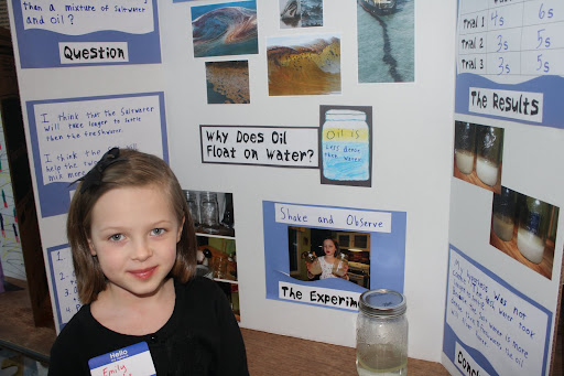 Pencils, Proverbs, Pandemonium, & Pins: Science Fair
