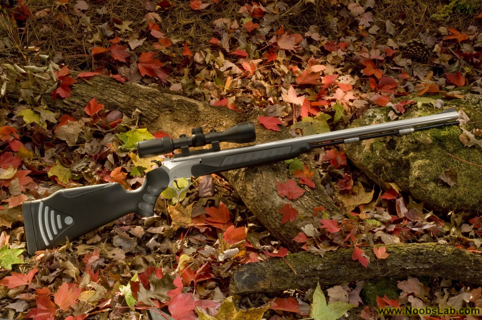 Free Comp Wallpapers | hd wallon