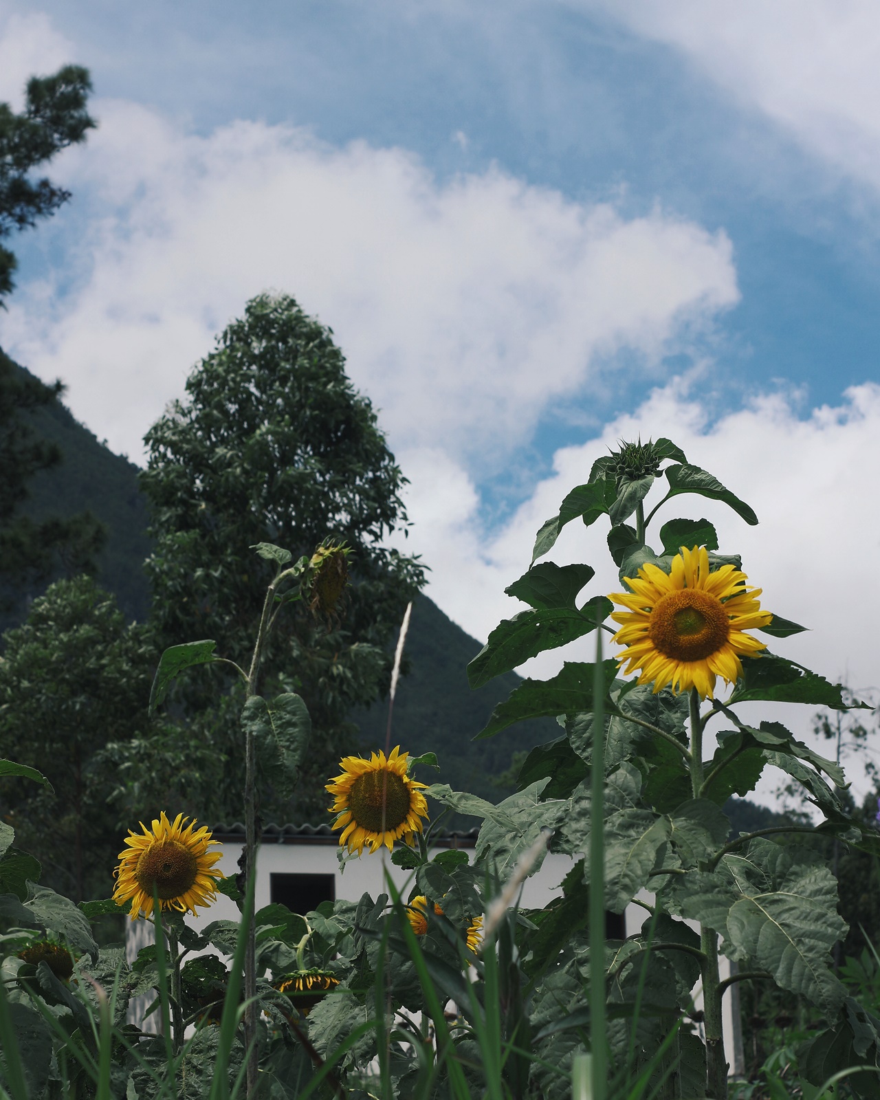WEEKEND STORY #12: WISATA BERKUDA MEGASTAR (PERHUTANI), BATU - Nina ...