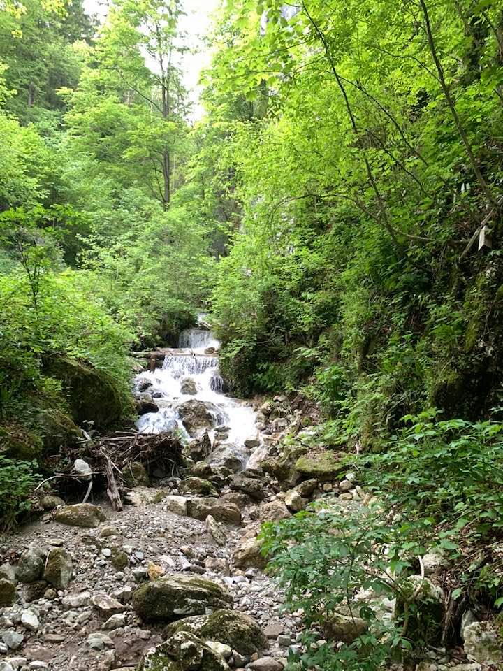 ŠTAJERSKI JAMARJI: Aktualno: Požiralnik pod Mornovo zijalko