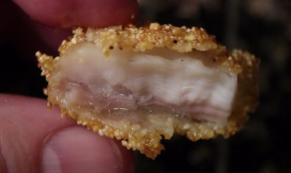 The 99 Cent Chef: Southern Fried Fish - Recipe Video