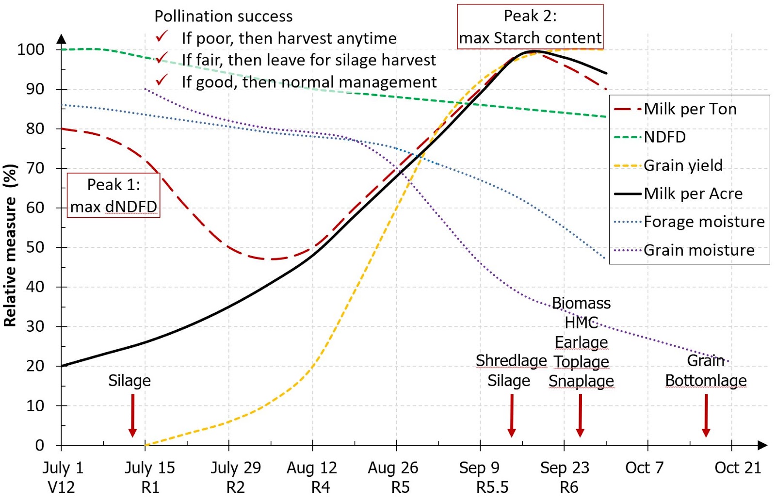 Corn Agronomy: The “Normal” Pattern of Corn Forage and Grain Development