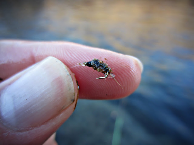 FITT Old Vs. New Hatchback Challenge | Page 22 | GTPlanet