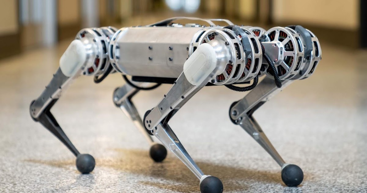 BuildIts: The Mini Cheetah Robot