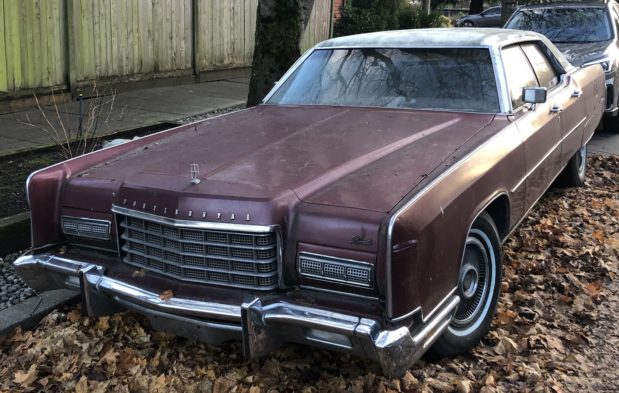 Seattle's Old Cars: 2020