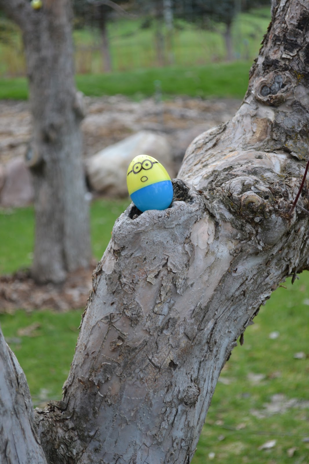 One Lucky Pickle: The Party Chronicles: Episode 2- Despicable Me