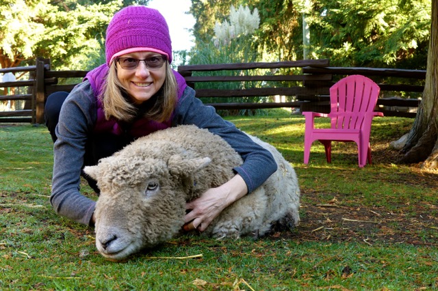 (Inter) National Hug A Sheep Day: Some Super Sweet Sheep Shots