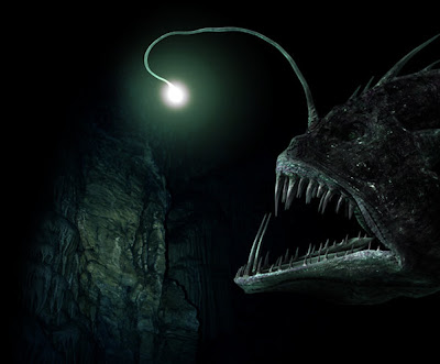 all about unique facts: Amazing Anglerfish - Anglerfish Facts, Photos ...