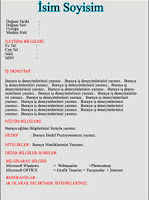 Mini Notlar: CV Örnekleri 10 Adet Resimli CV Örneği