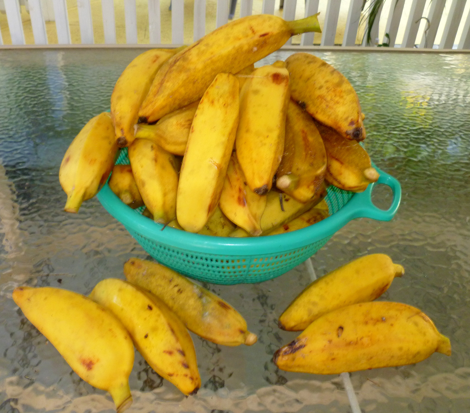 Fooding Around With The Kilted Cook: Hungarian Fish, Banana Bread ...