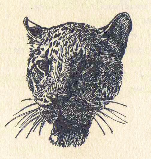 Raymond Sheppard and The Man-Eating leopard of Rudraprayag by Jim ...