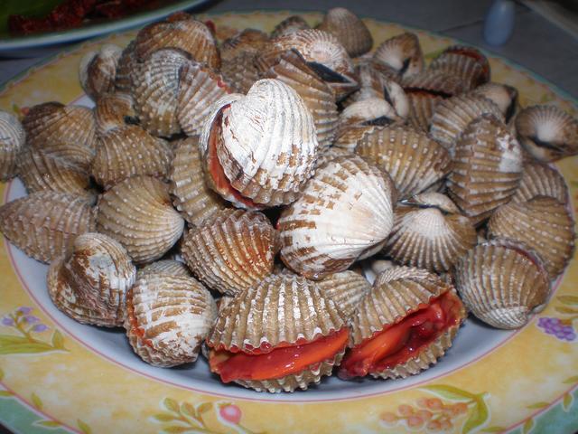 Tips Menghilangkan Pasir di Dalam Kerang ~ Latulite