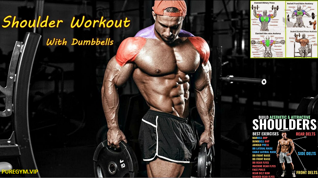 8 Shoulder Exercises For Bigger Delts Pure Gym