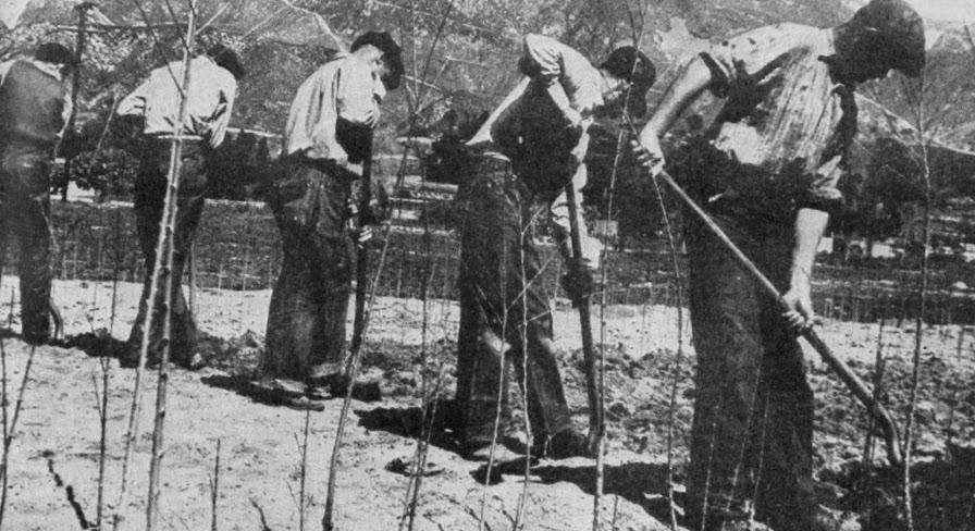 New Deal of the Day: A New Deal for California