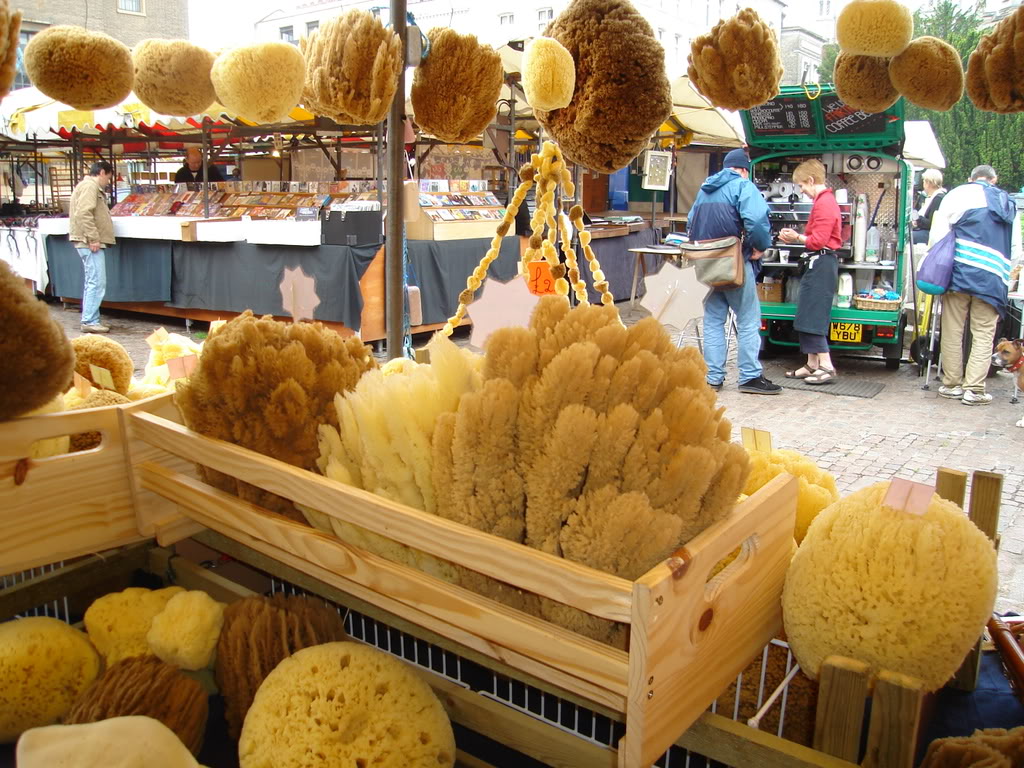 What is a Natural Sea Sponge? ~ Cambridge Greek Corner
