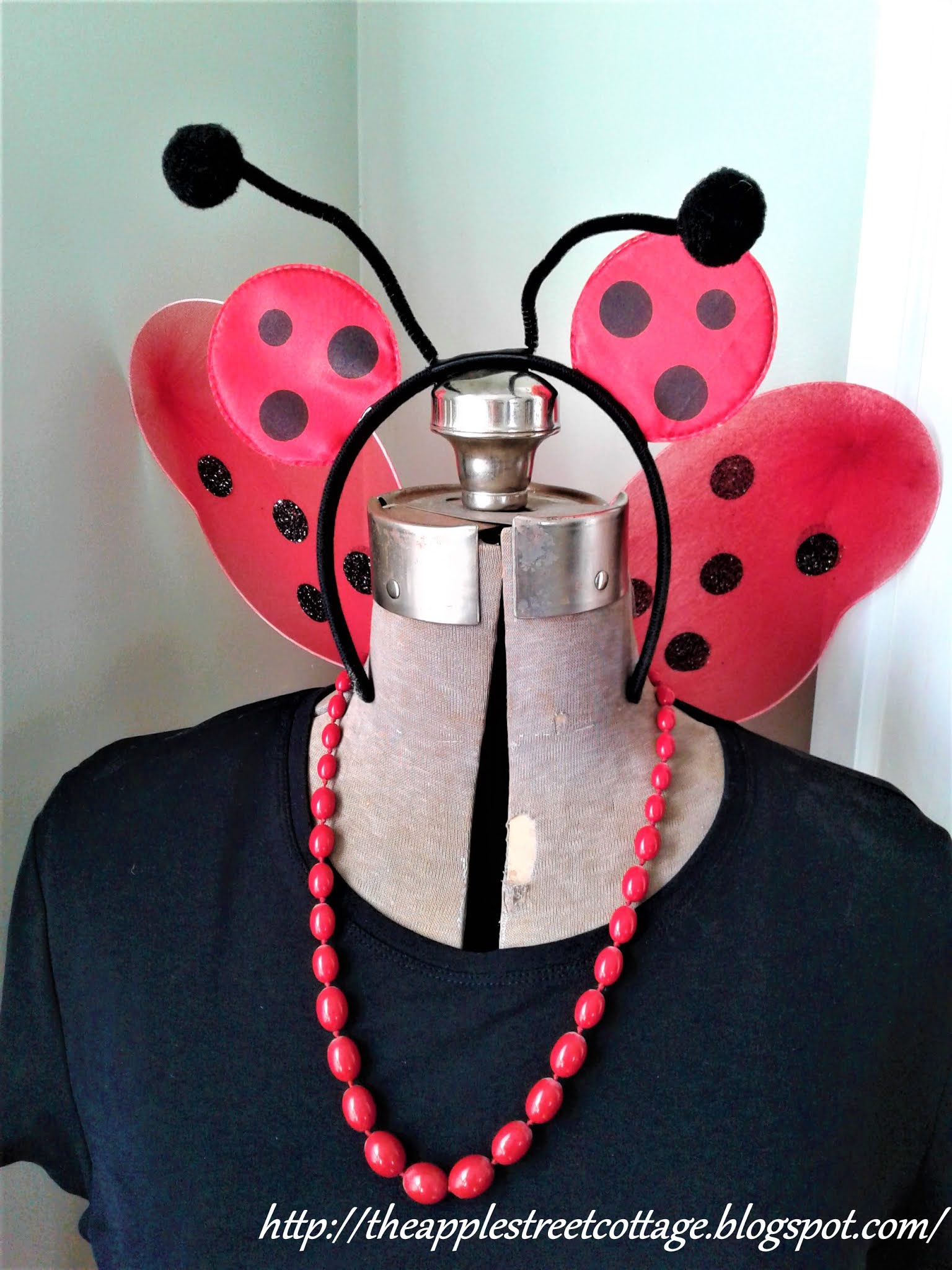 Rosie's Ladybug Costume