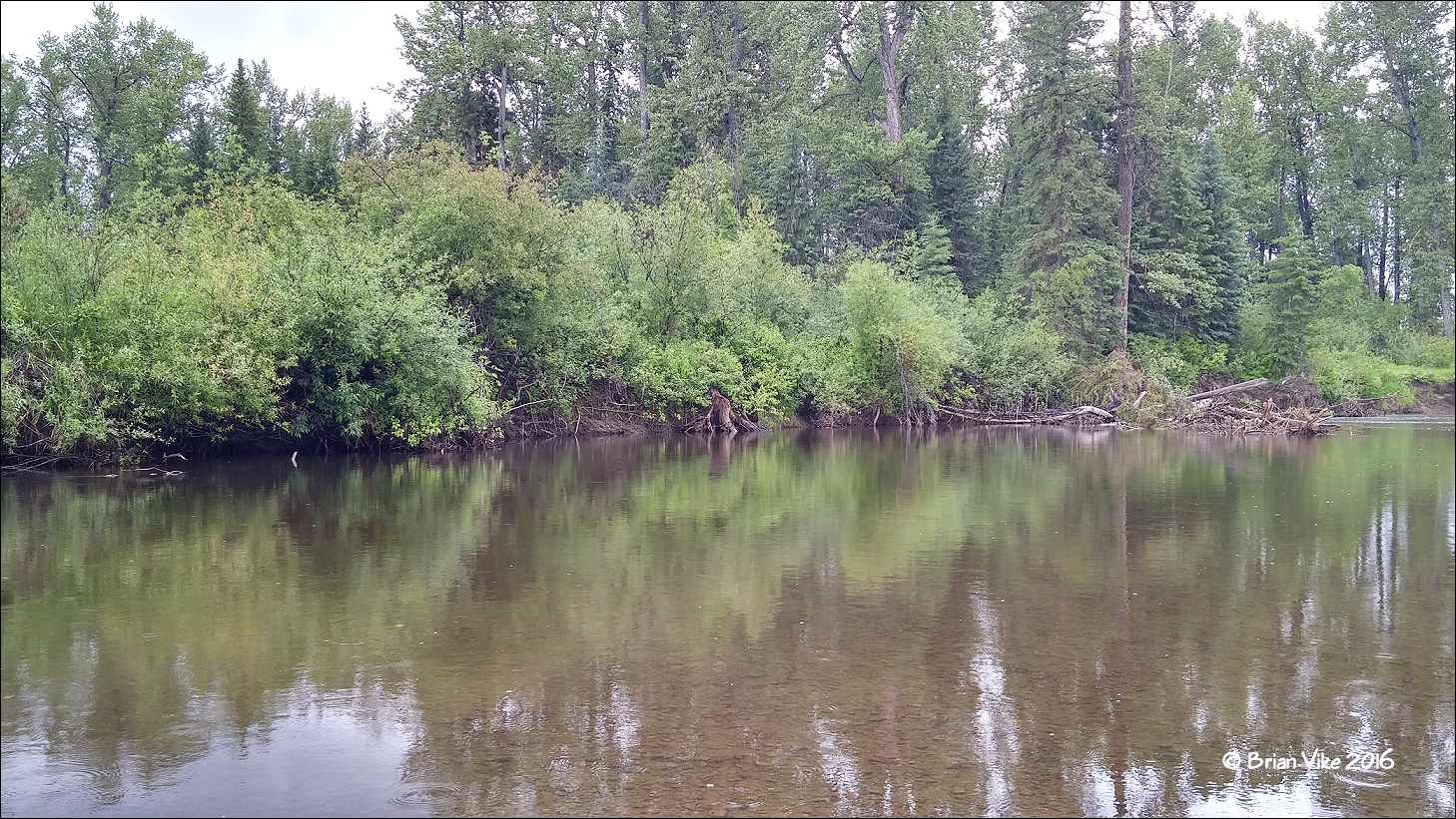 Northern Interior British Columbia: My Bulkley River 3 Houston British ...