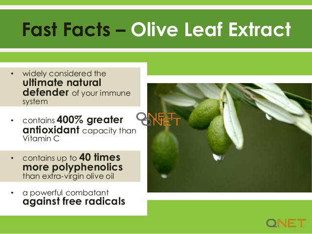 The Unexpected Benefits Of Olive Leaf Extract!