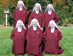Traddy In Minnesota: Nun 101: Nuns vs. Sisters