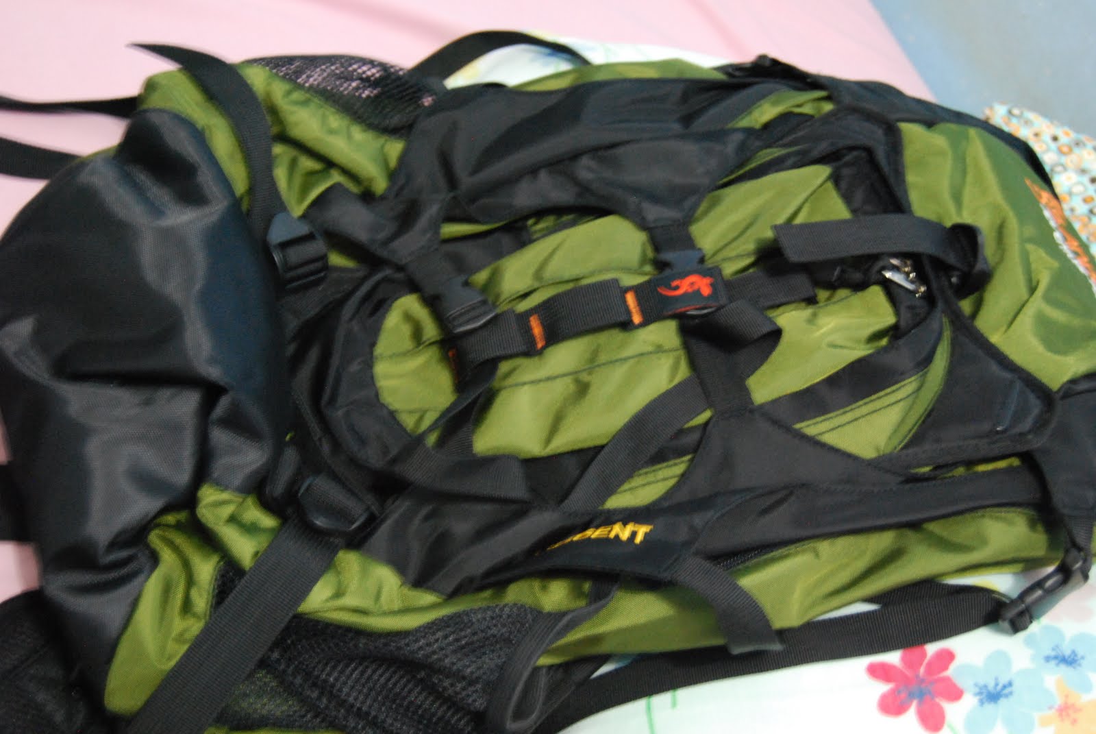 Roam-a-holic: Backpacks by Sandugo