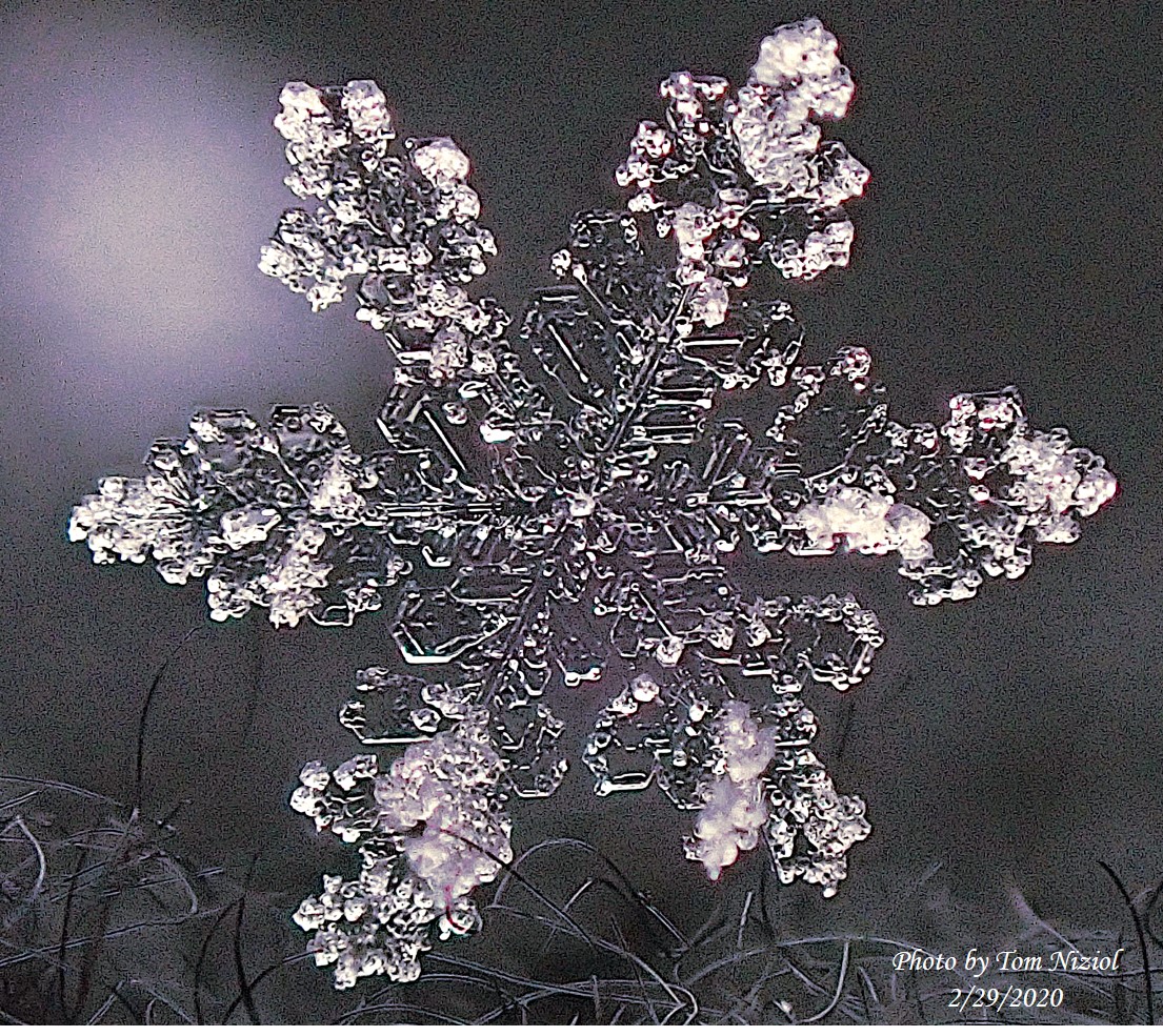 The Weather Around Us: Photographing Snow Crystals - On A Budget