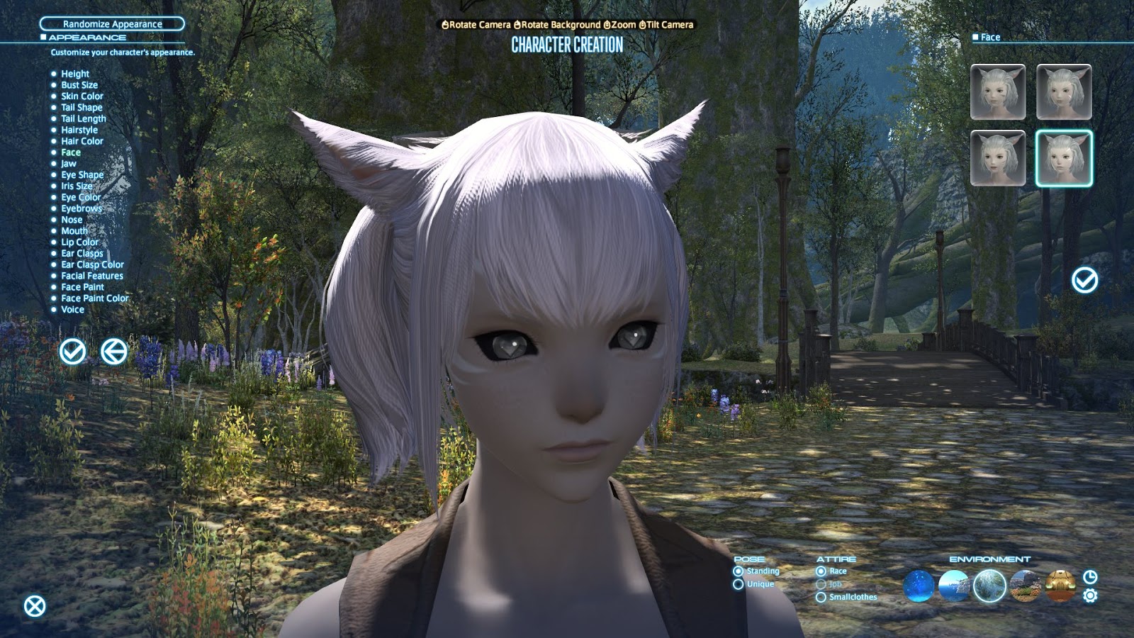 Miqo'te Black Sclera/Heart Eyes + Optionals - The PrettyKitty Emporium ...