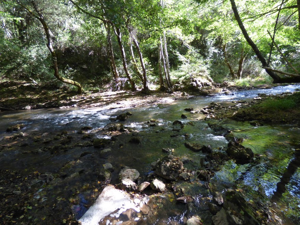SALIDAS DE SENDERISMO ( VÍA VERDE DEL VASCO-NAVARRO Y SENDA FLUVIAL DEL ...