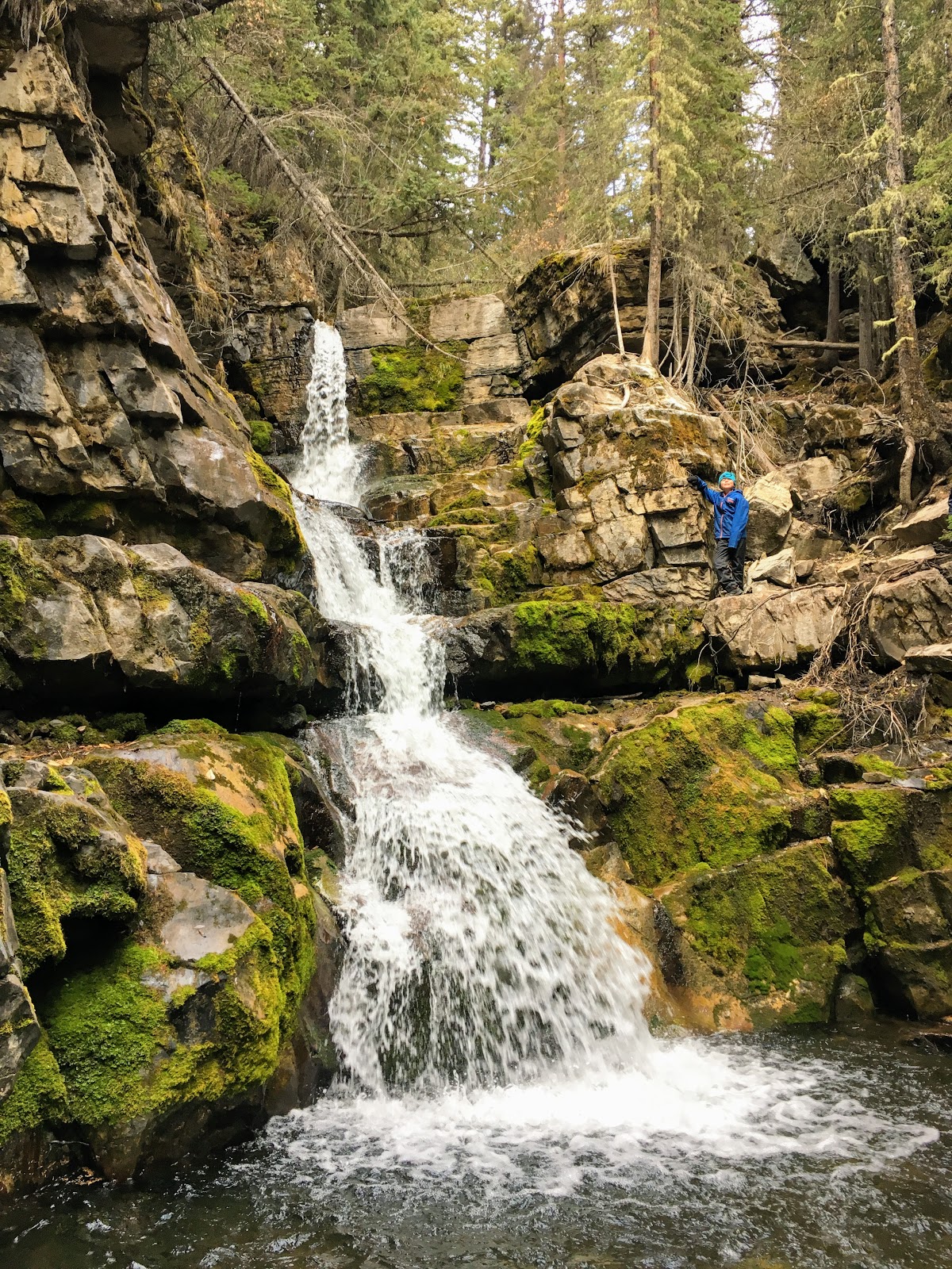 Family Adventures in the Canadian Rockies: The NEW Hiking Trail to ...