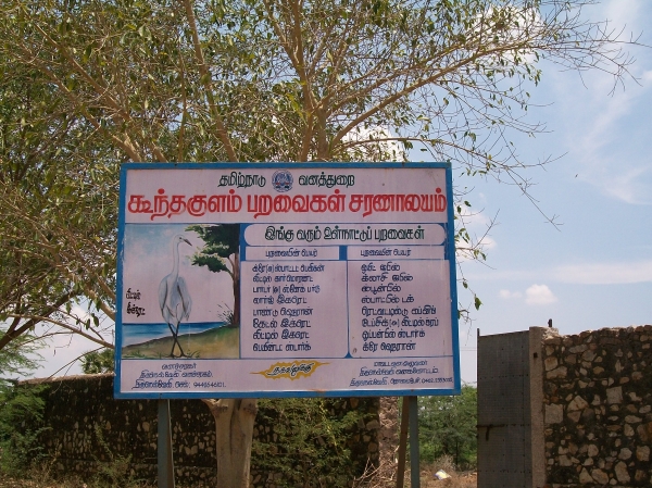 Tamilnadu Tourism: Koonthakulam Bird Sanctuary, Thirunelveli