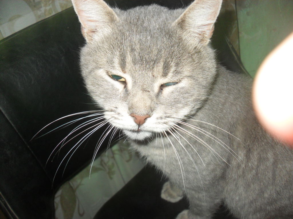 la historia del canal