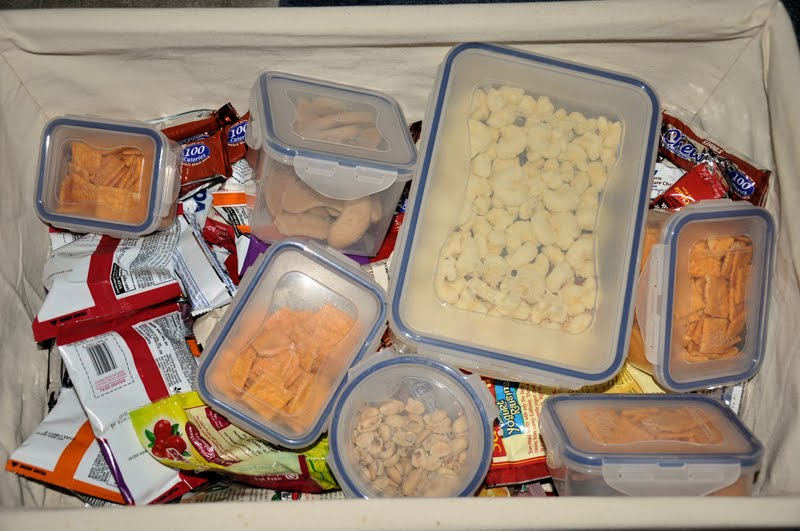 A Peek Inside My Fridge and Cabinets