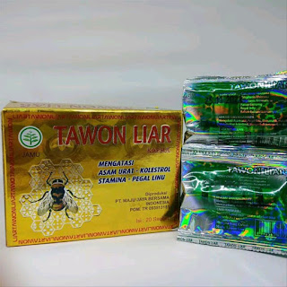 Kapsul Tawon Liar Original Obat Asam Asam Urat 082324897533 - KAPSUL ...