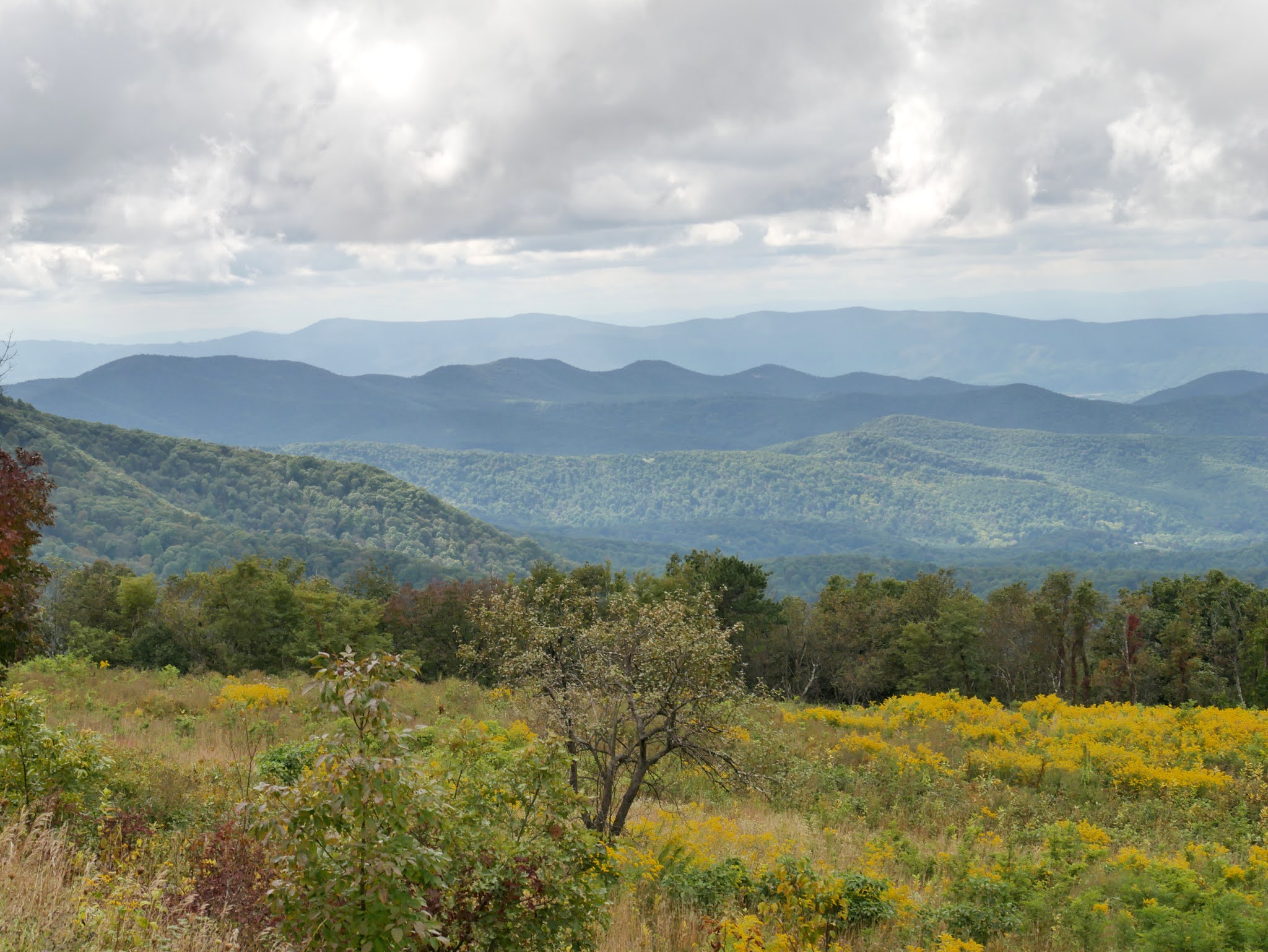 American Travel Journal: Swift Run Gap to Thornton Gap - Skyline Drive ...