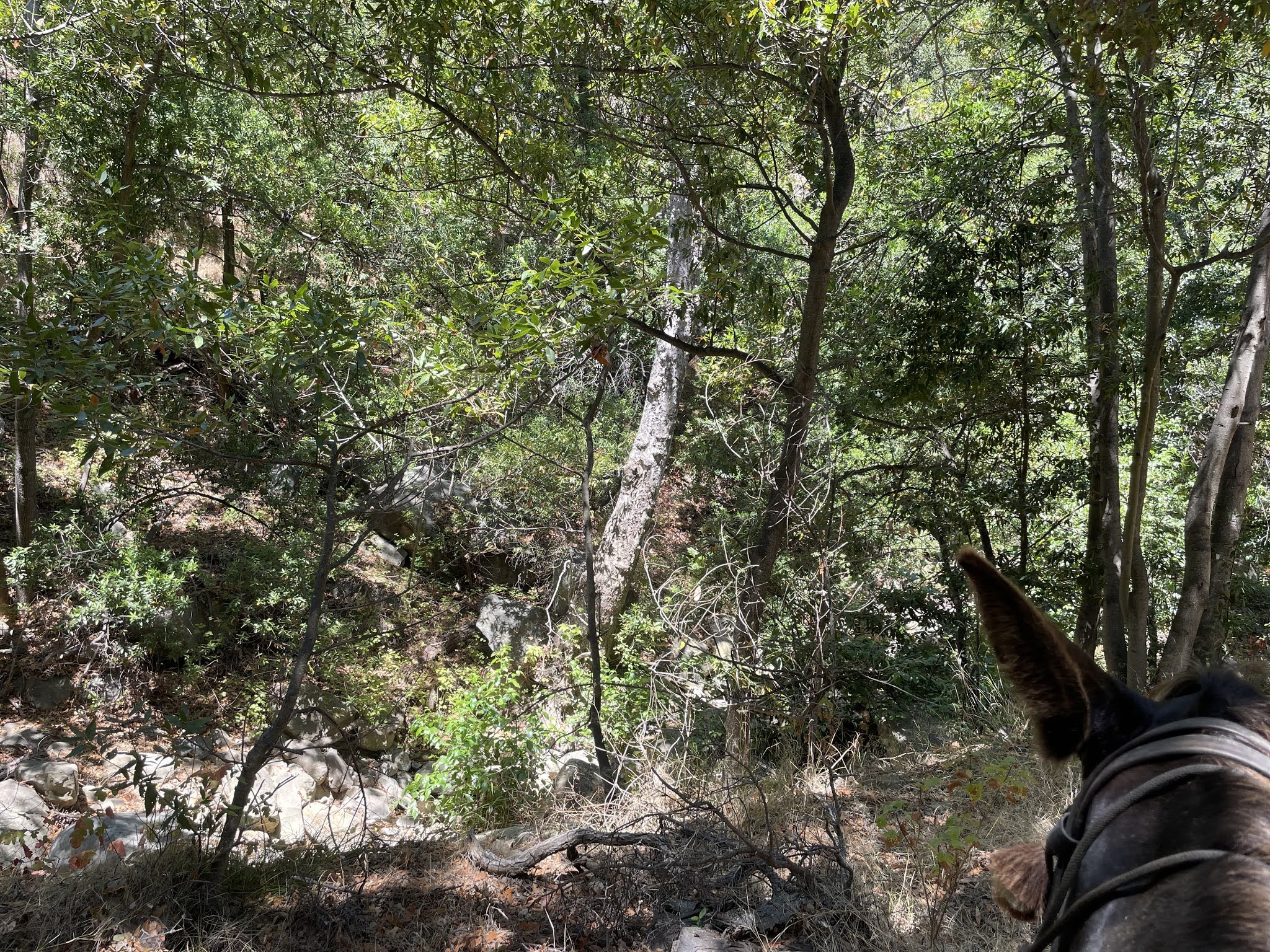 Baron Ranch on the Gaviota Coast - edhat