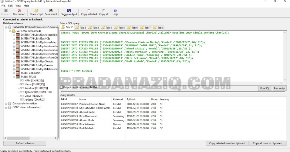 Latihan Membuat Table Menggunakan ODBC Query Pradanaziq latihan-membuat-table-menggunakan-odbc-query-pradanaziq
