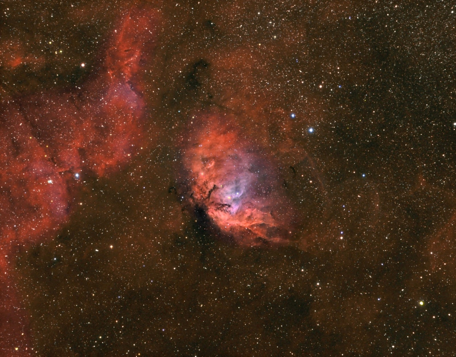 Halling Skies: Sharpless 2-101: The Tulip Nebula...