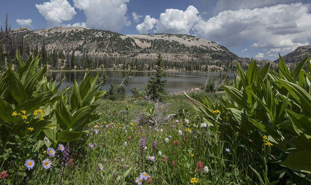 Trails Trekker: Three Divide Lakes Loop/Clyde Lake Loop