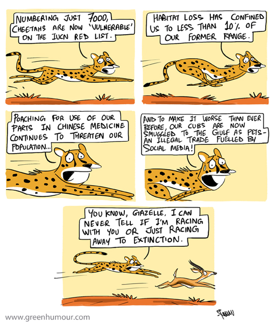 Green Humour: January 2020