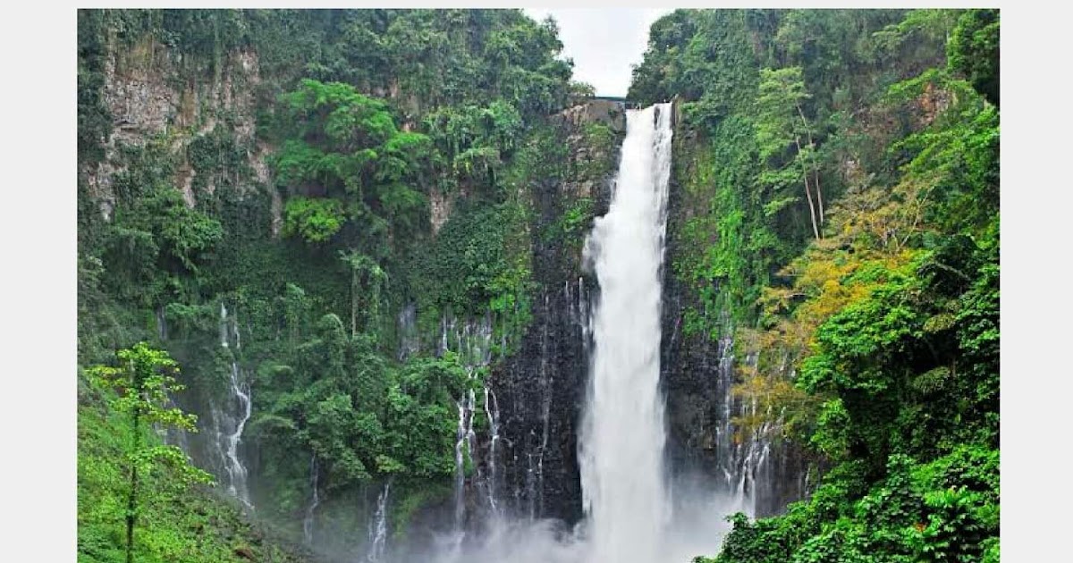 My Homeworks: Pakinabang sa Enerhiya*