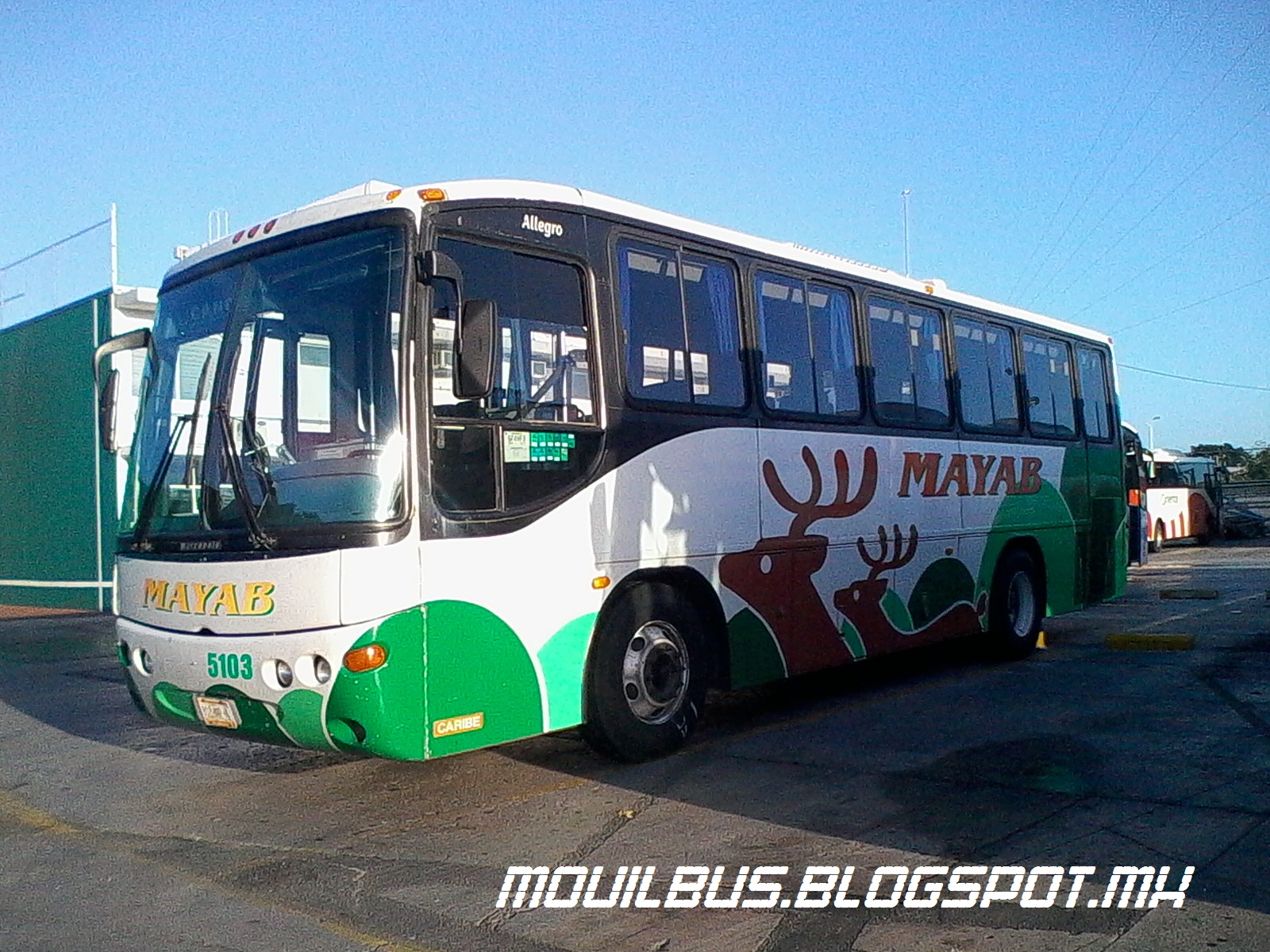 MARCOPOLO ALLEGRO MAYAB