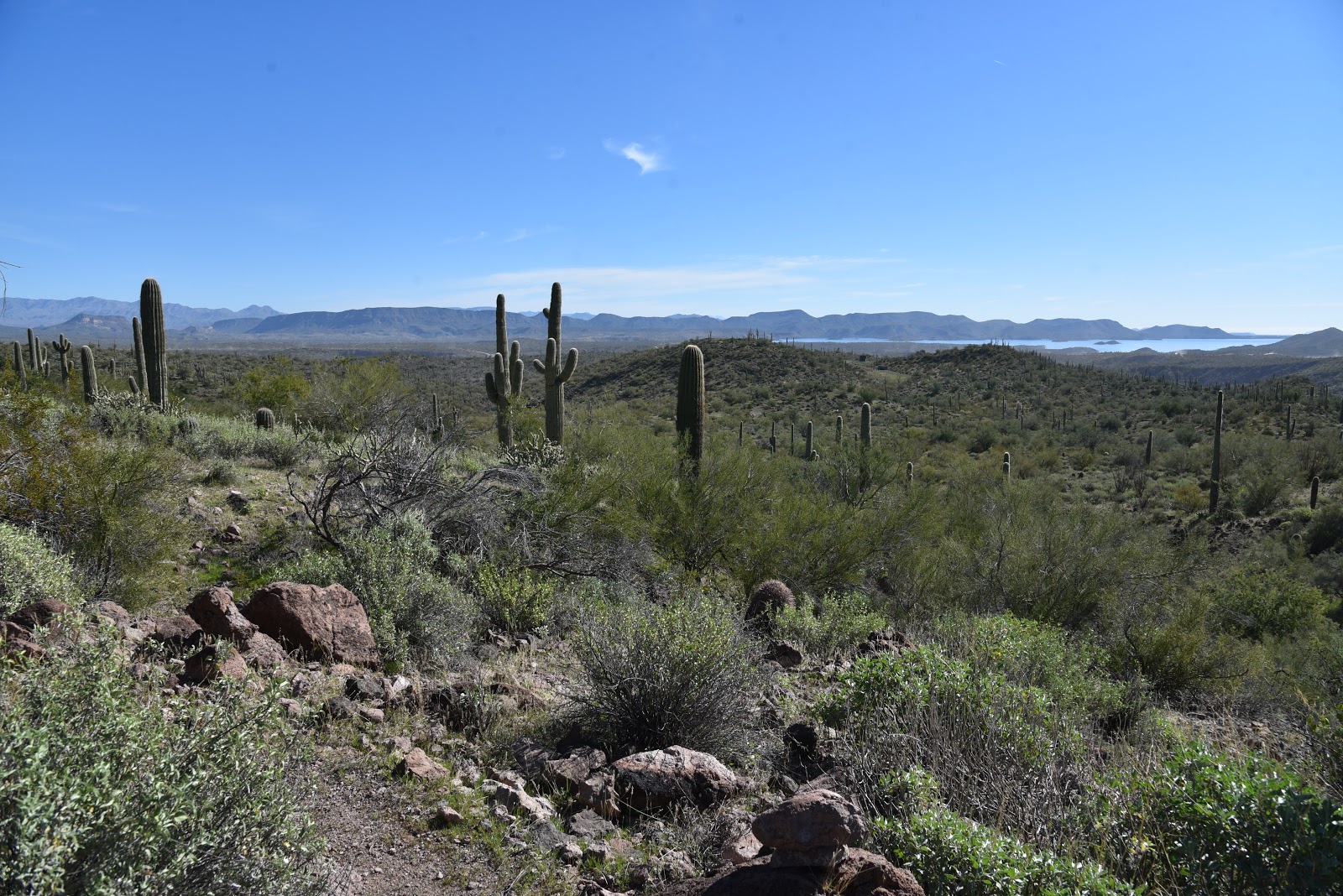 Arizona Hiking: SPRING VALLEY TRAIL